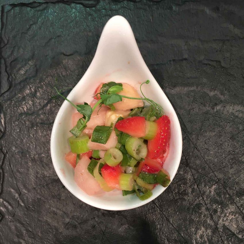 Vegan High Fashion - Umasan Interview - my-GREENstyle